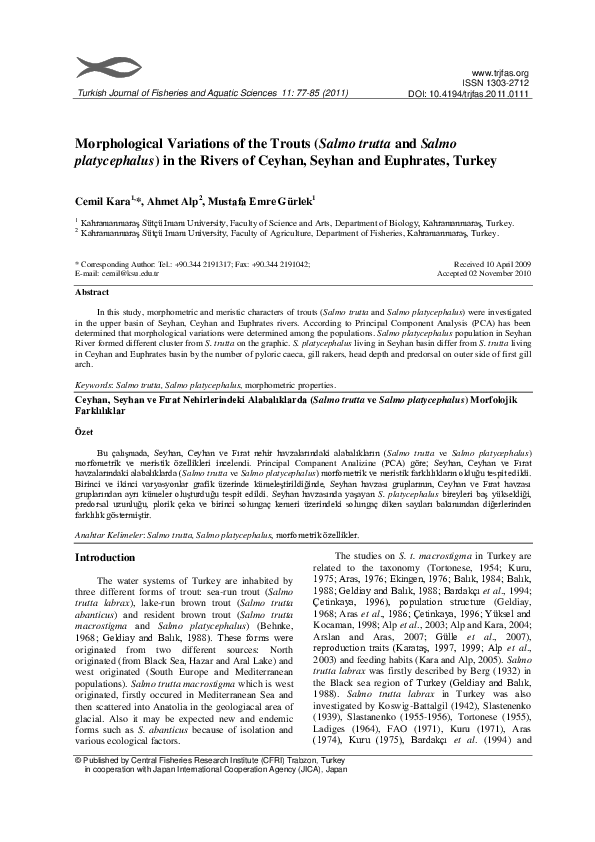 (PDF) Morphological Variations of the Trouts (Salmo trutta and Salmo platycephalus) in the ...