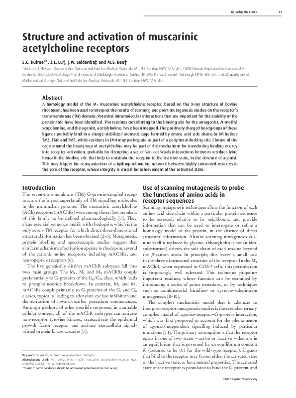 (PDF) Structure and activation of muscarinic acetylcholine receptors