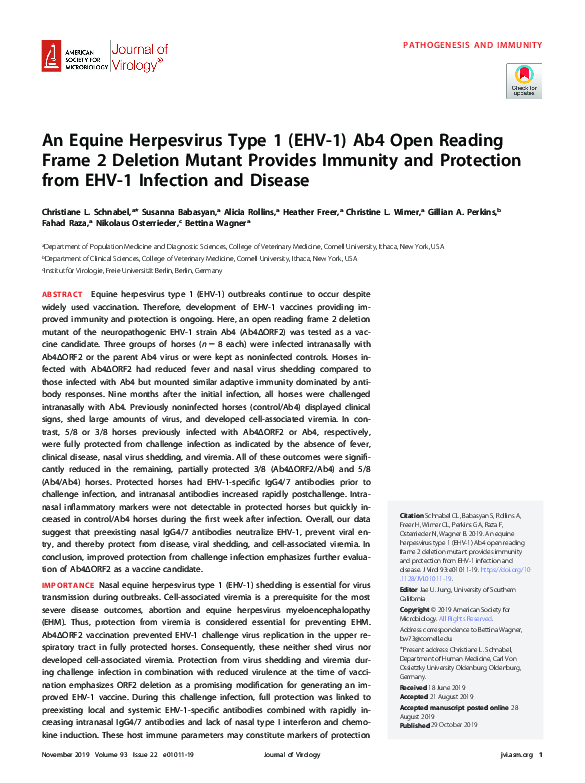 (PDF) An Equine Herpesvirus Type 1 (EHV-1) Ab4 Open Reading Frame 2 Deletion Mutant Provides ...