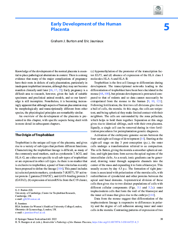 (PDF) Early Development of the Human Placenta