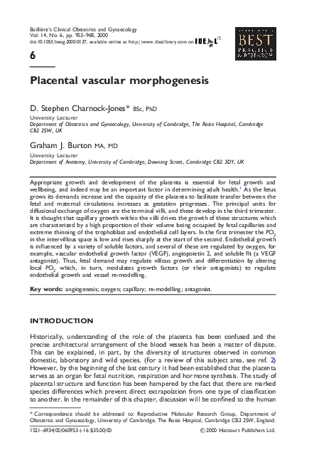 (PDF) Placental vascular morphogenesis