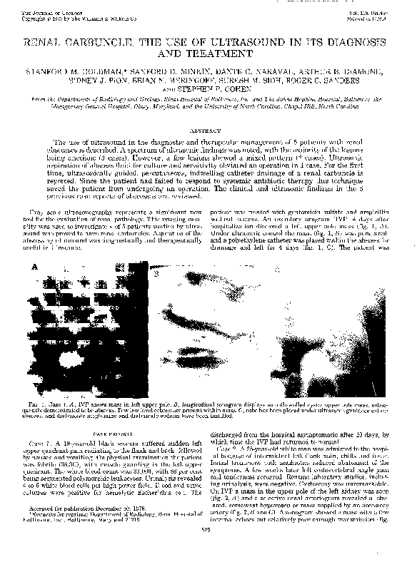 (PDF) Renal Carbuncle: The Use of Ultrasound in its Diagnosis and ...