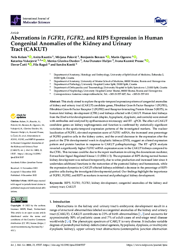 (PDF) Aberrations in FGFR1, FGFR2, and RIP5 Expression in Human ...
