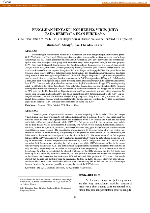 (PDF) Pengujian Penyakit Koi Herpes Virus (KHV) Pada Beberapa Ikan Budidaya