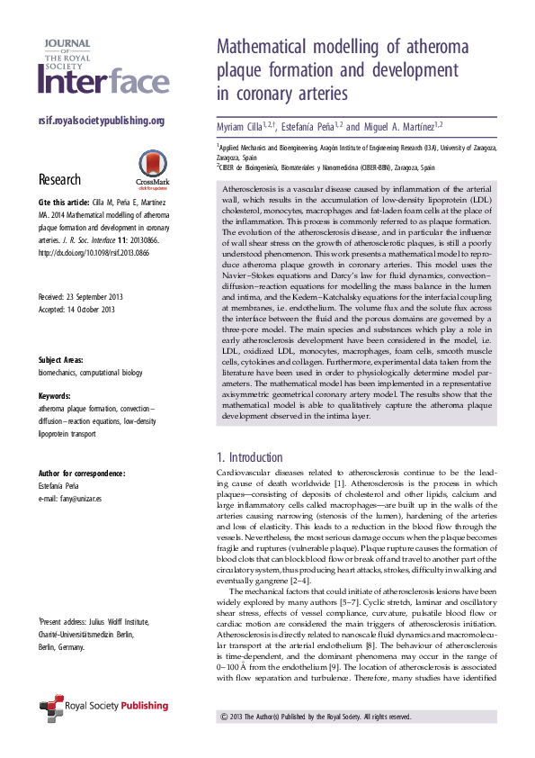 (PDF) Mathematical modelling of atheroma plaque formation and ...