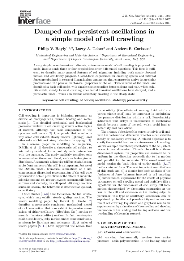 (PDF) Damped and persistent oscillations in a simple model of cell crawling
