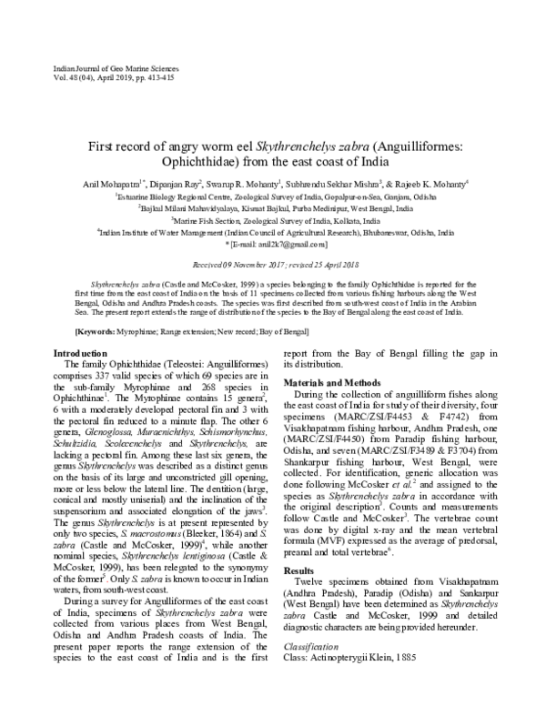 (PDF) First record of angry worm eel Skythrenchelys zabra ...