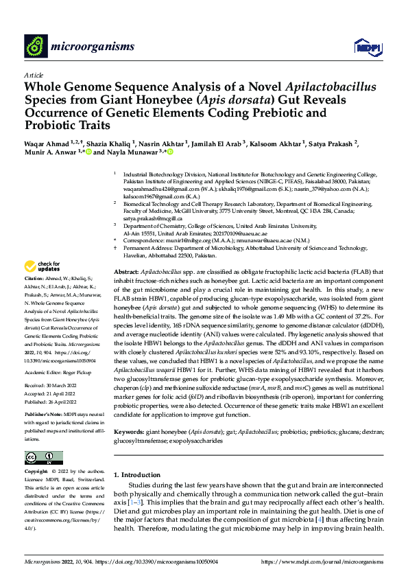 (PDF) Whole Genome Sequence Analysis of a Novel Apilactobacillus Species from Giant Honeybee ...