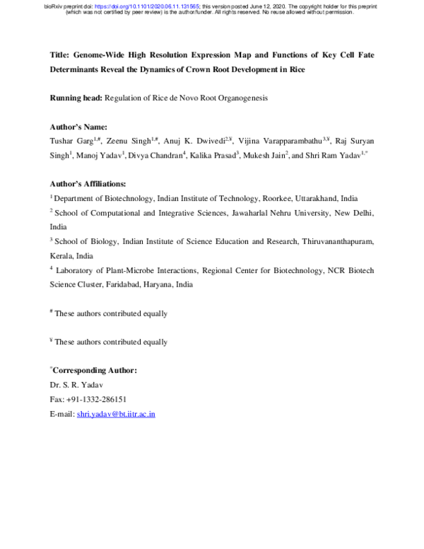 (PDF) Genome-Wide High Resolution Expression Map and Functions of Key ...