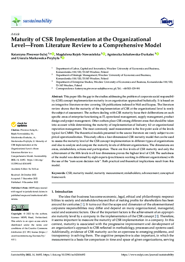 (PDF) Maturity of CSR Implementation at the Organizational Level-From Literature Review to a ...
