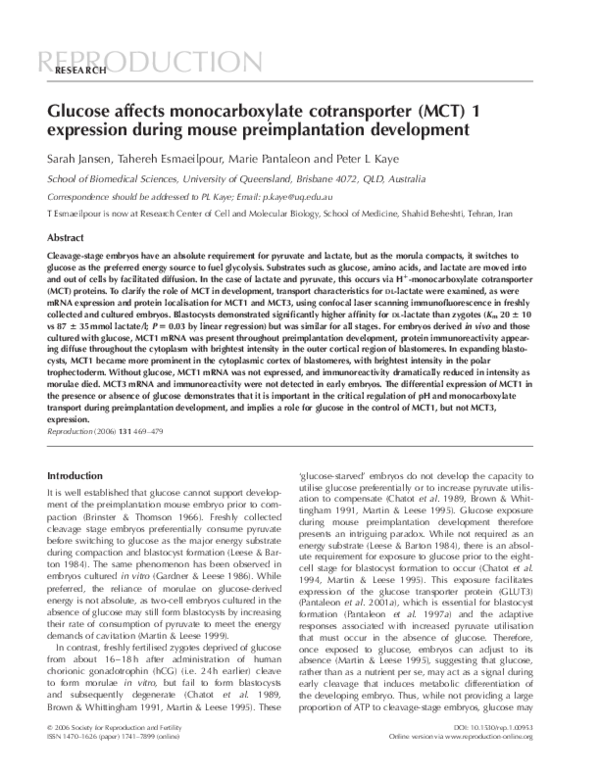 (PDF) Glucose affects monocarboxylate cotransporter (MCT) 1 expression during mouse ...