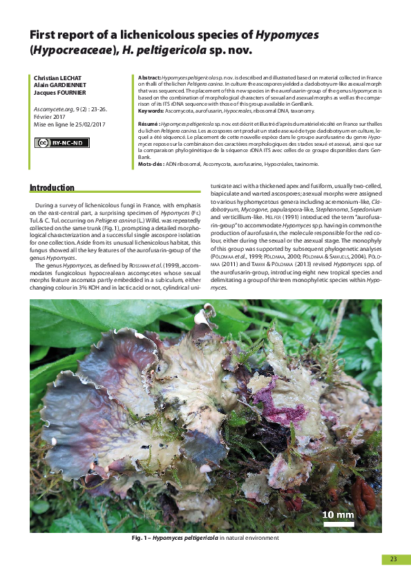 (PDF) First report of a lichenicolous species of Hypomyces ...