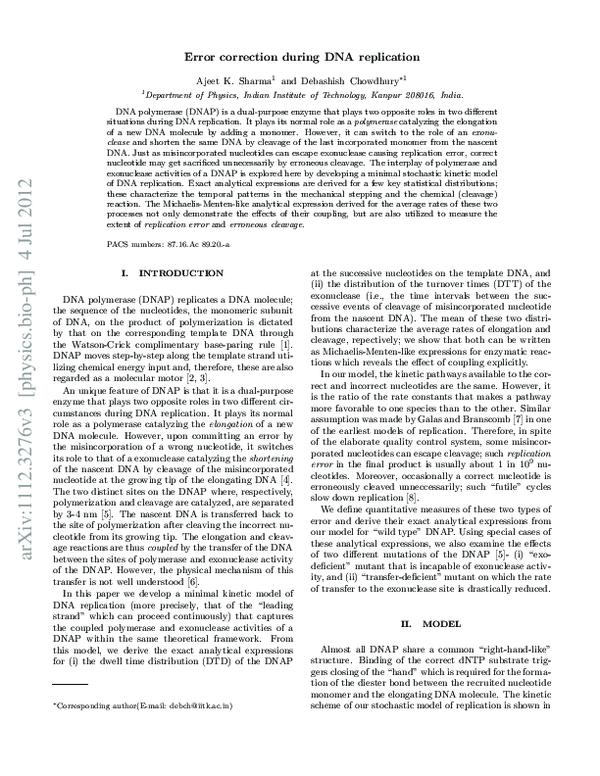 (PDF) Error correction during DNA replication