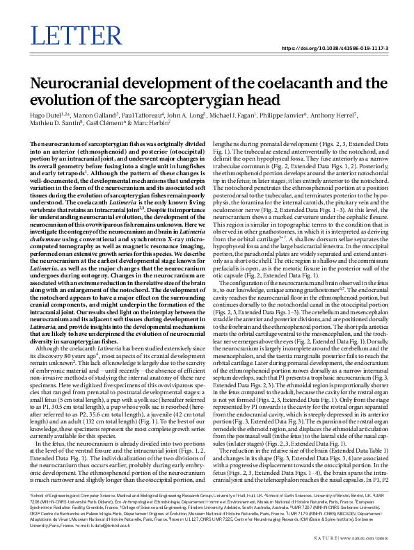 (PDF) Neurocranial development of the coelacanth and the evolution of ...