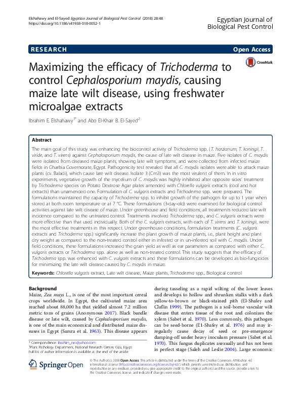 (PDF) Maximizing the efficacy of Trichoderma to control Cephalosporium maydis, causing maize ...