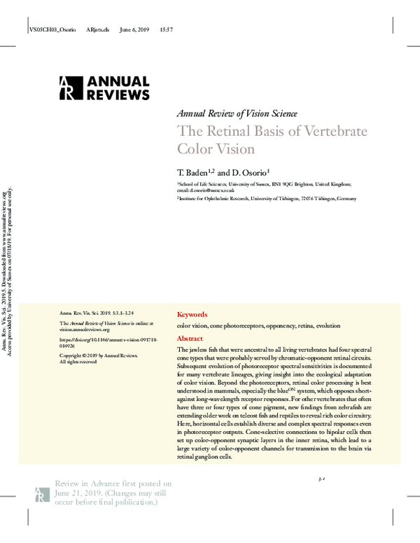 (PDF) Annual Review of Vision Science The Retinal Basis of Vertebrate ...