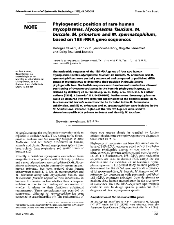 (PDF) Note: Phylogenetic position of rare human mycoplasmas, Mycoplasma ...