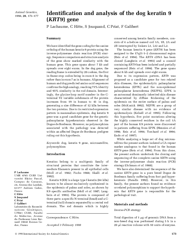 (PDF) Identification and analysis of the dog keratin 9 (KRT9) gene
