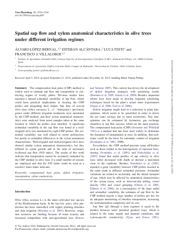 (PDF) Spatial sap flow and xylem anatomical characteristics in olive ...