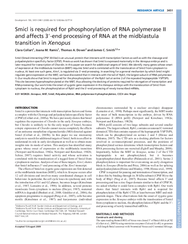 (PDF) Smicl is required for phosphorylation of RNA polymerase II and ...