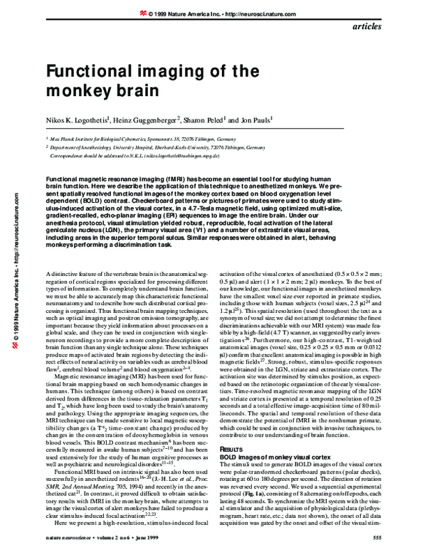 (PDF) Functional imaging of the monkey brain
