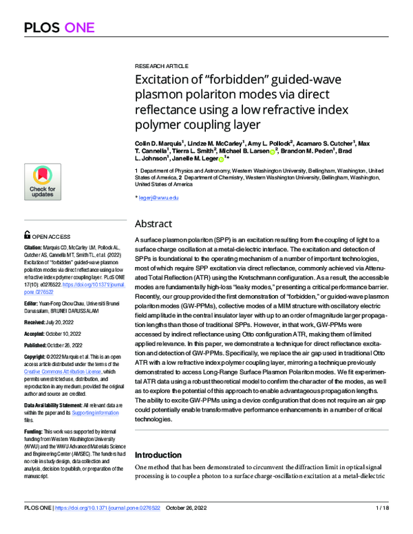 (PDF) Excitation of “forbidden” guided-wave plasmon polariton modes via ...