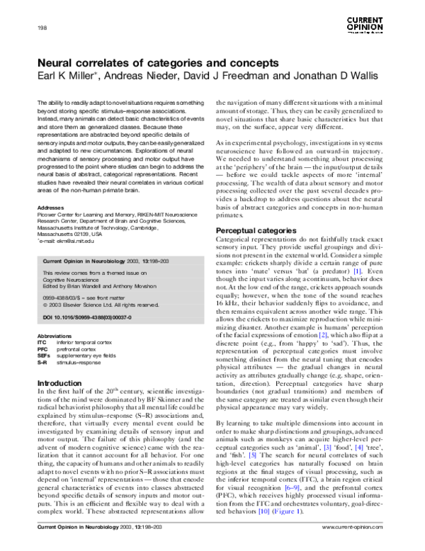 (PDF) Neural correlates of categories and concepts