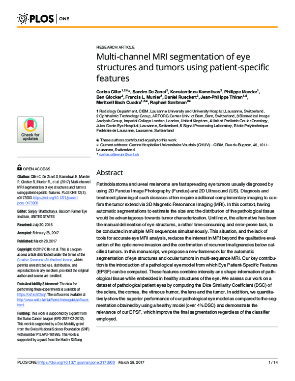 (PDF) Multi-channel MRI segmentation of eye structures and tumors using patient-specific features