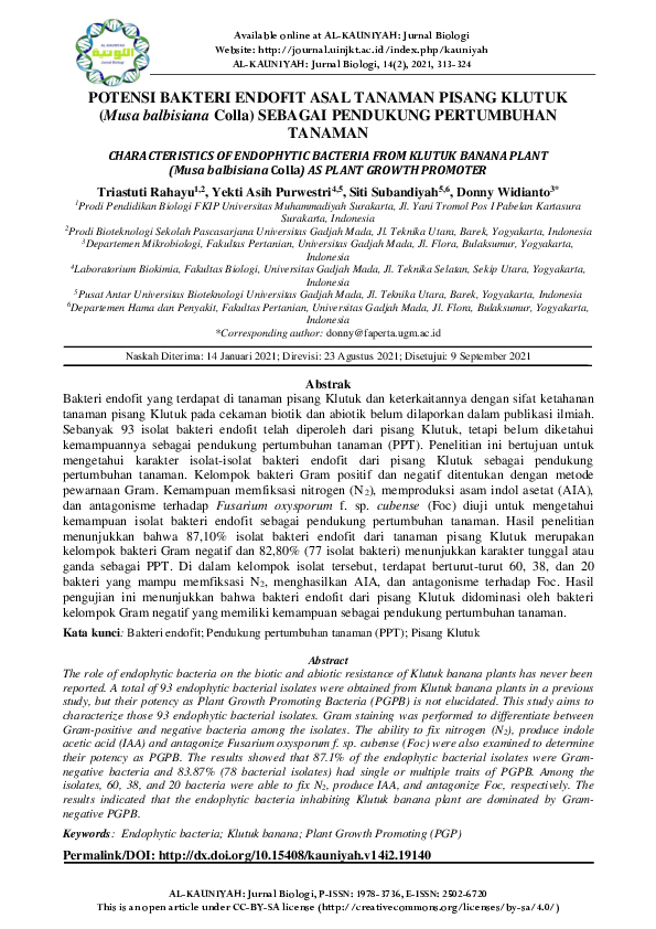 (PDF) Potensi Bakteri Endofit Asal Tanaman Pisang Klutuk (Musa ...
