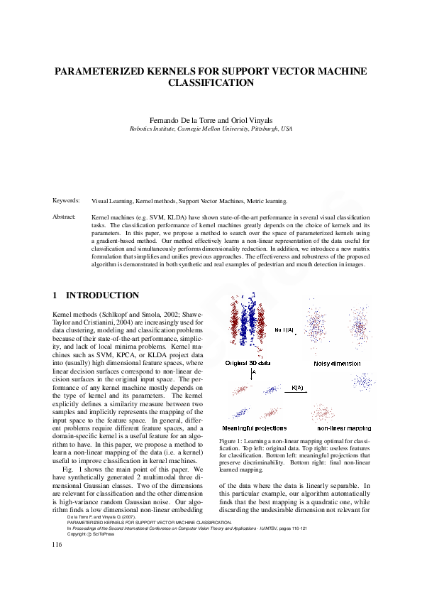 (PDF) Parameterized Kernels for Support Vector Machine Classification