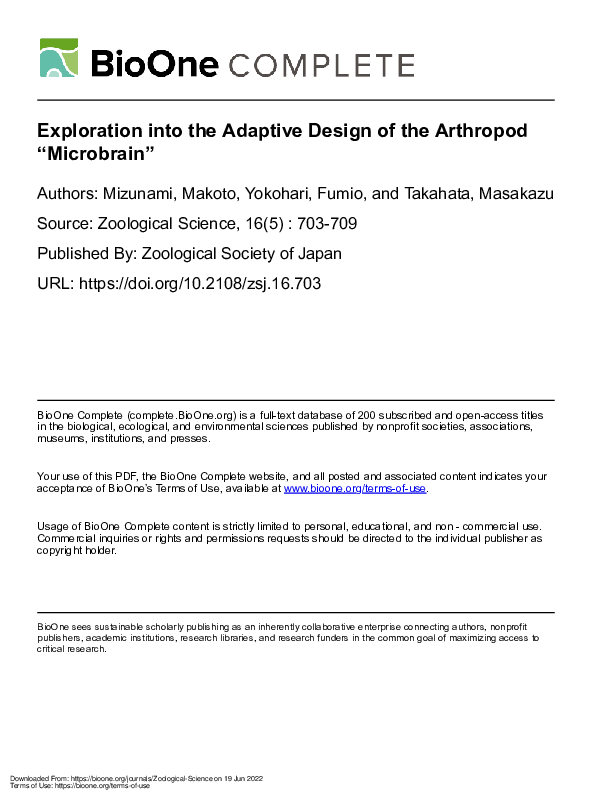 (PDF) Exploration into the Adaptive Design of the Arthropod “Microbrain”