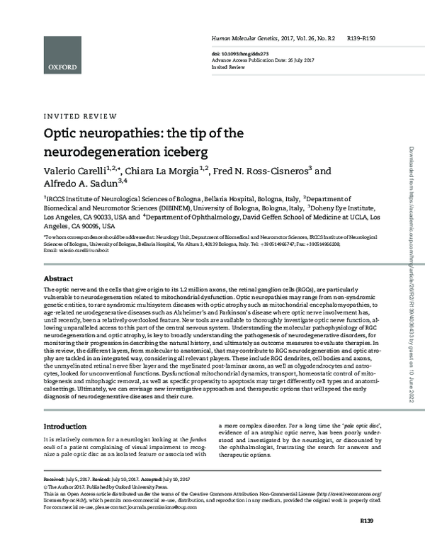 (PDF) Optic neuropathies: the tip of the neurodegeneration iceberg