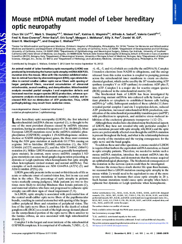(PDF) Mouse mtDNA mutant model of Leber hereditary optic neuropathy