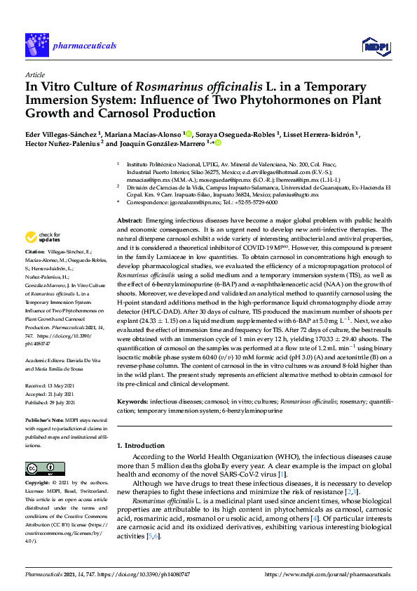 (PDF) In Vitro Culture of Rosmarinus officinalis L. in a Temporary ...