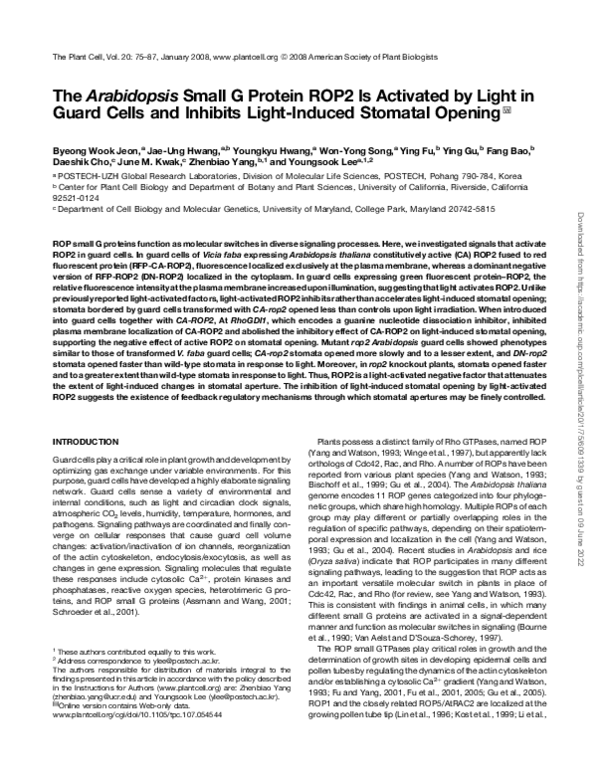 (PDF) The Arabidopsis Small G Protein ROP2 Is Activated by Light in ...