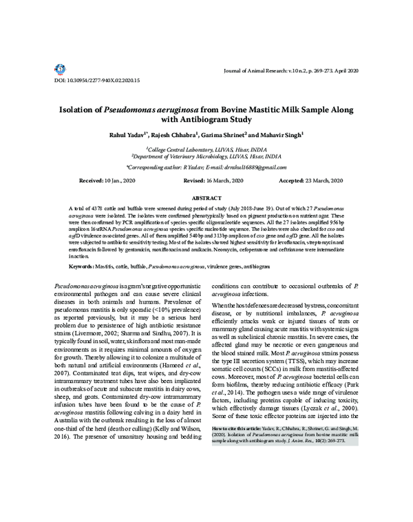 (PDF) Isolation of Pseudomonas aeruginosa from Bovine Mastitic Milk ...