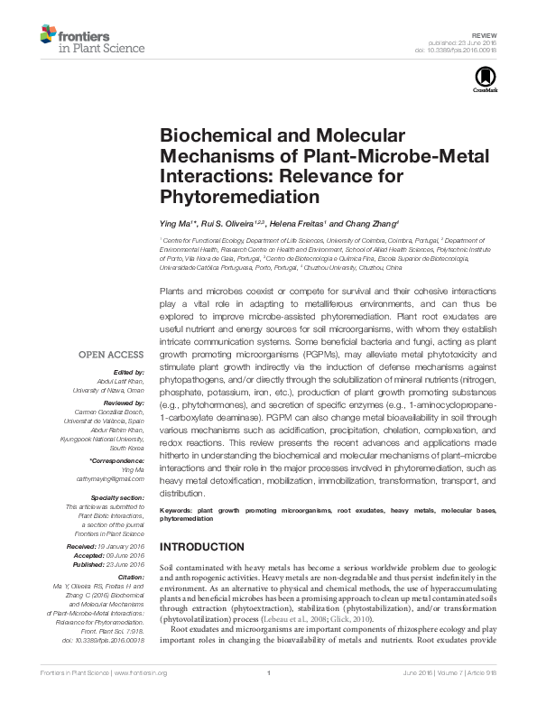 (PDF) Biochemical and Molecular Mechanisms of Plant-Microbe-Metal ...