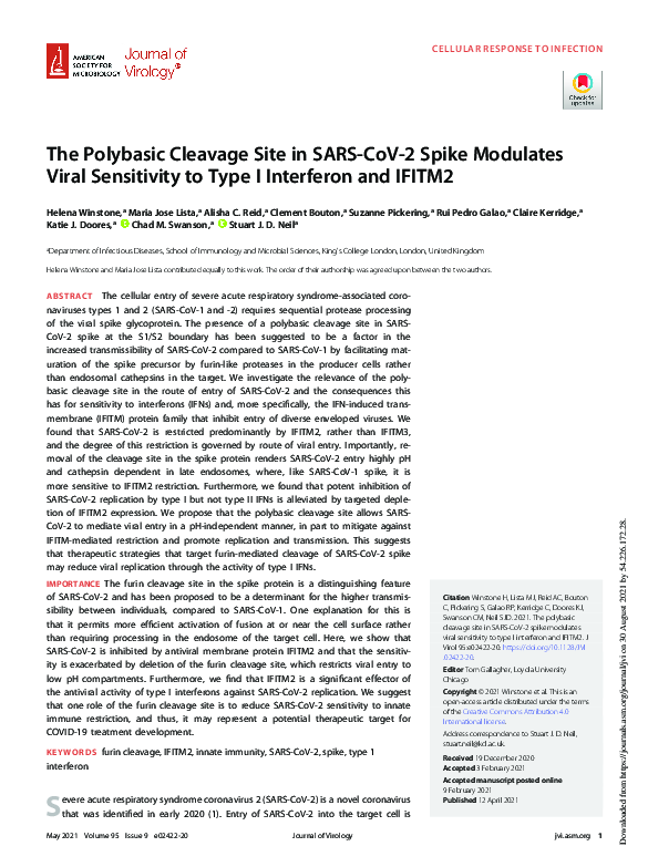 (PDF) The Polybasic Cleavage Site in SARS-CoV-2 Spike Modulates Viral ...