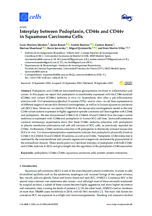 (PDF) Interplay between Podoplanin, CD44s and CD44v in Squamous ...