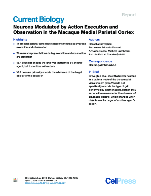 Pdf Neurons Modulated By Action Execution And Observation In The Macaque Medial Parietal Cortex