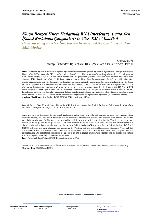 (PDF) Nöron Benzeri Hücre Hatlarında RNA Interferans Aracılı Gen ...