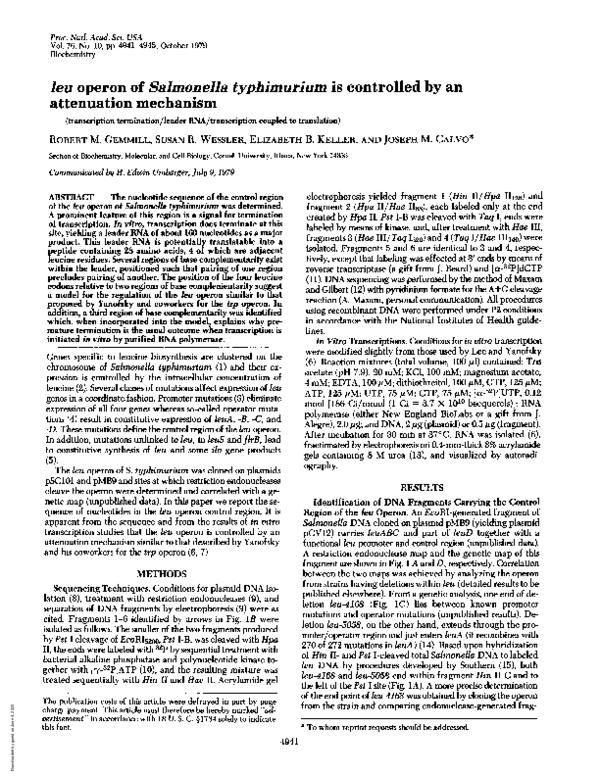(PDF) leu operon of Salmonella typhimurium is controlled by an ...
