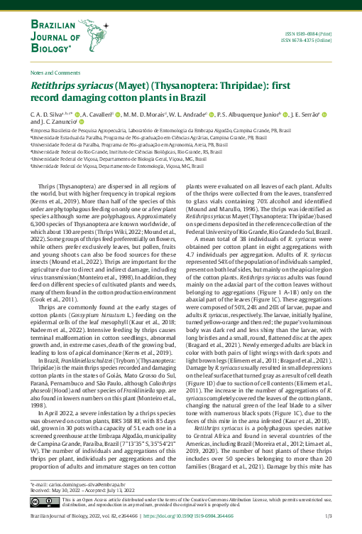 (PDF) Retithrips syriacus (Mayet) (Thysanoptera: Thripidae): first ...