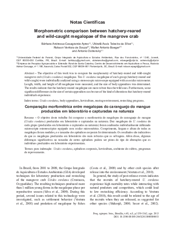 (PDF) Morphometric comparison between hatchery-reared and wild-caught ...