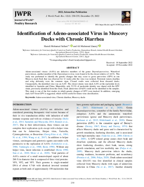(PDF) Identification of Adeno-associated Virus in Muscovy Ducks with ...
