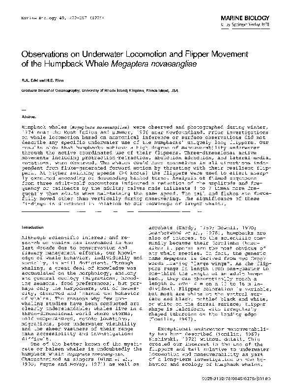 (PDF) Humpback Whale Flipper Movement Observations