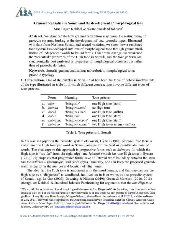 (PDF) Grammaticalization in Somali and the development of morphological ...