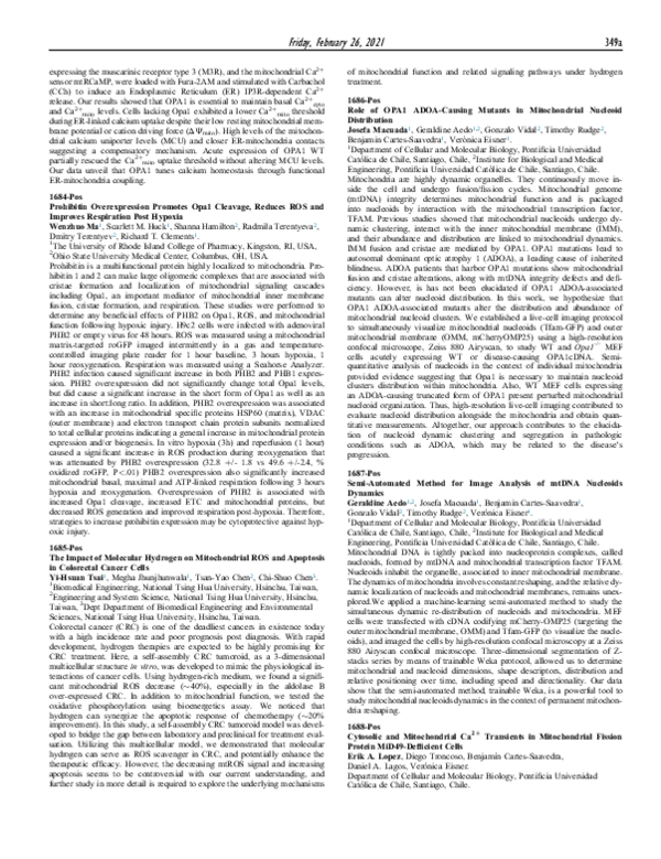 (PDF) Semi-Automated Method for Image Analysis of mtDNA Nucleoids Dynamics