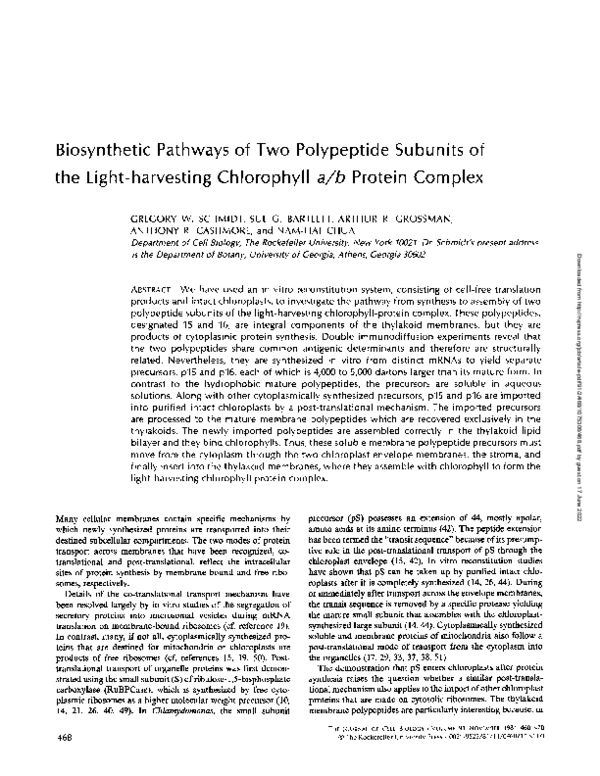(PDF) Biosynthetic pathways of two polypeptide subunits of the light ...