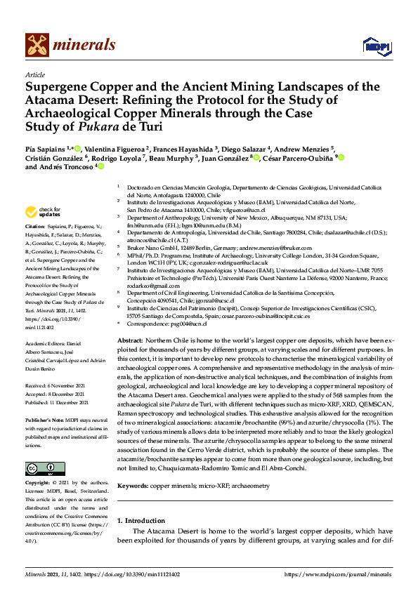 (PDF) Supergene Copper and the Ancient Mining Landscapes of the Atacama ...